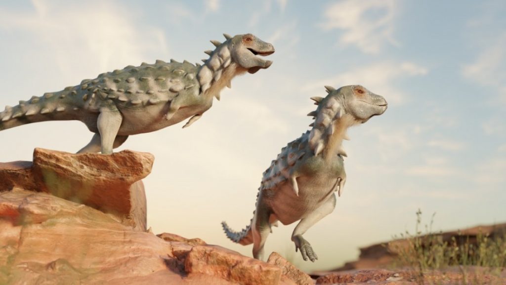 New species of small, armoured dinosaurs discovered in Argentina