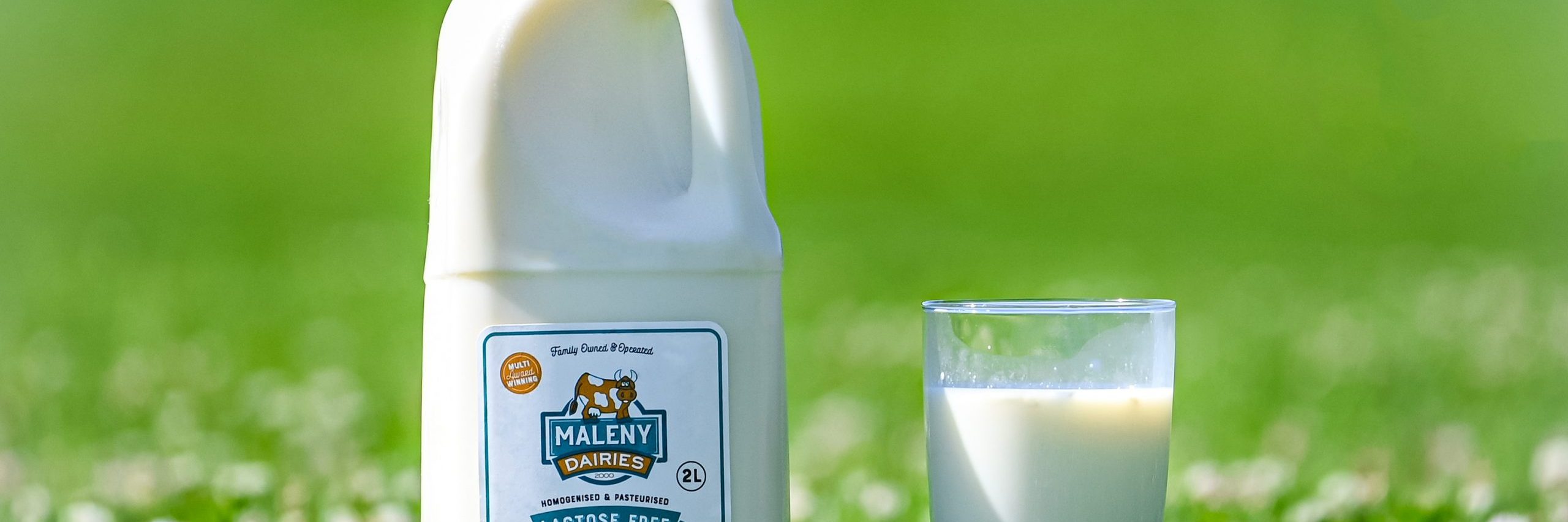 Maleny Dairies introduces Lactose Free Full Cream Milk to the market