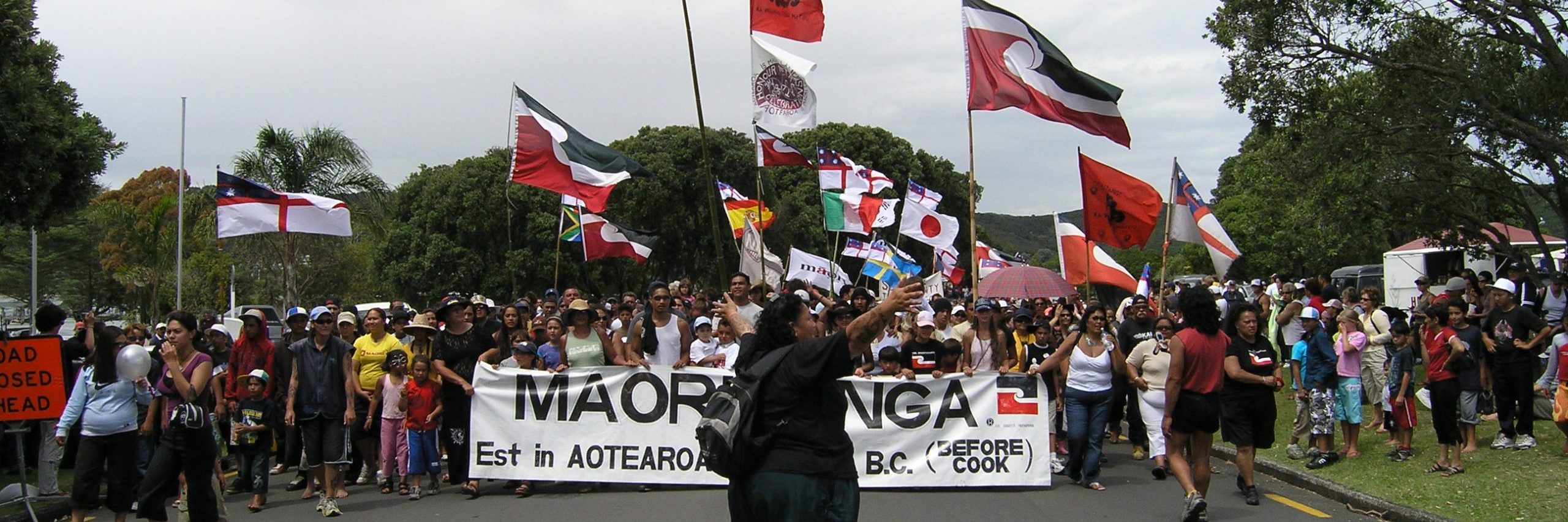 Thousands gather to protest plan to "redefine" Treaty of Waitangi - NewsCop